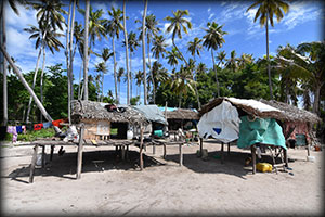 Sibuan Island , Sabah , Borneo
