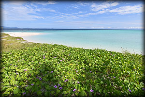 Sibuan Island , Sabah , Borneo
